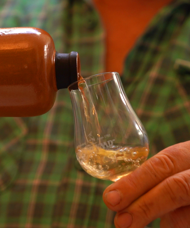 Home - Hollanda Tours